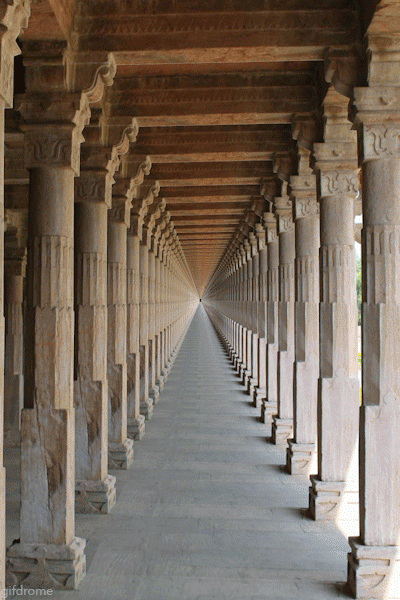 Animated GIFs - #infinite #columns